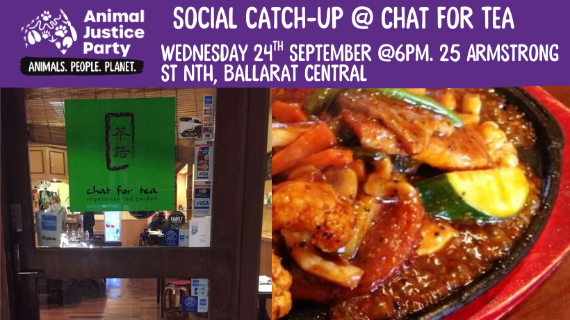Social Catch-up at Chat For Tea - Animal Justice Party Victoria