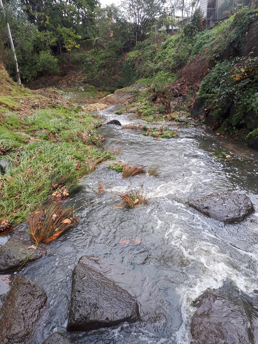 Back Creek July Water Quality Measurement - Australian Conservation ...